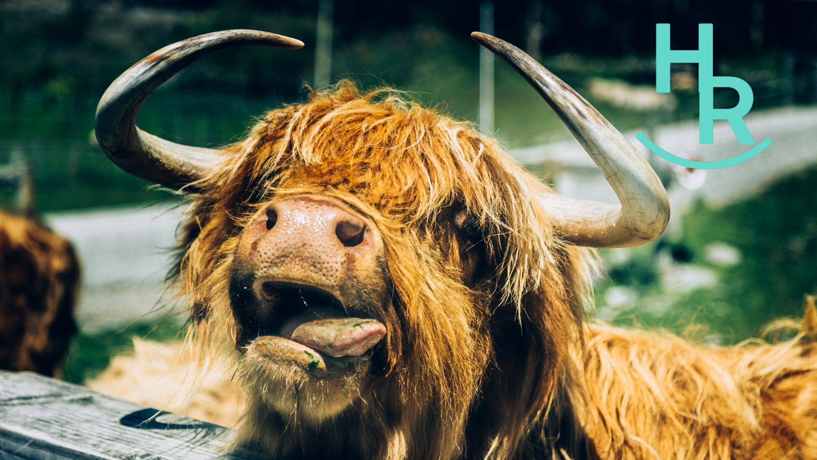 Dad Stuff – Hayzlee Rae's