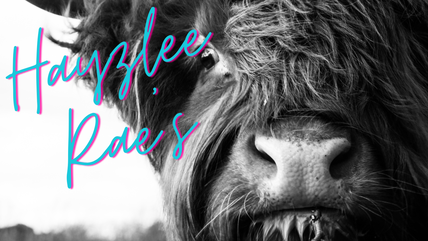 Hayzlee Rae’s Gift Card – Hayzlee Rae's